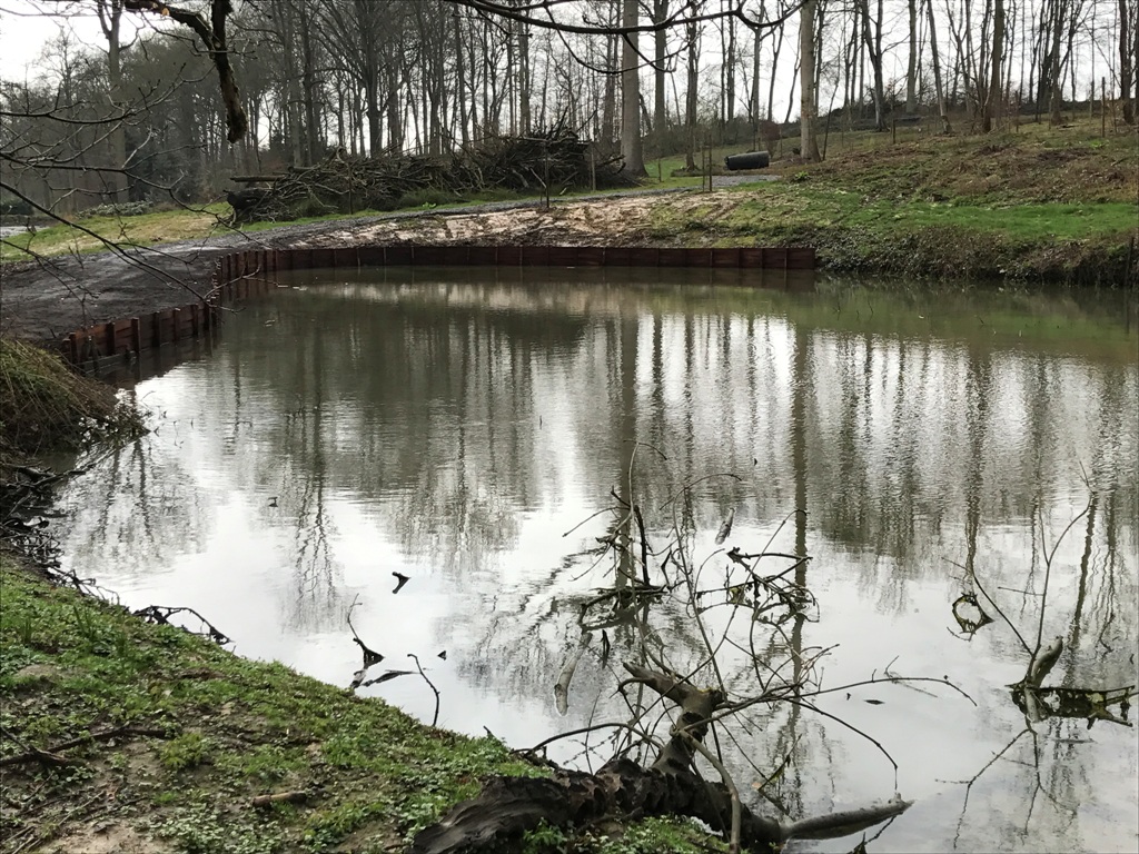 Réalisation de berges d’étangs et Rognage de souche - Laurent Hubert